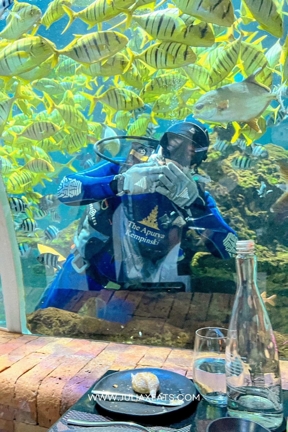 Koral Restaurant, Bali: Unforgettable Underwater Dining Experience ...